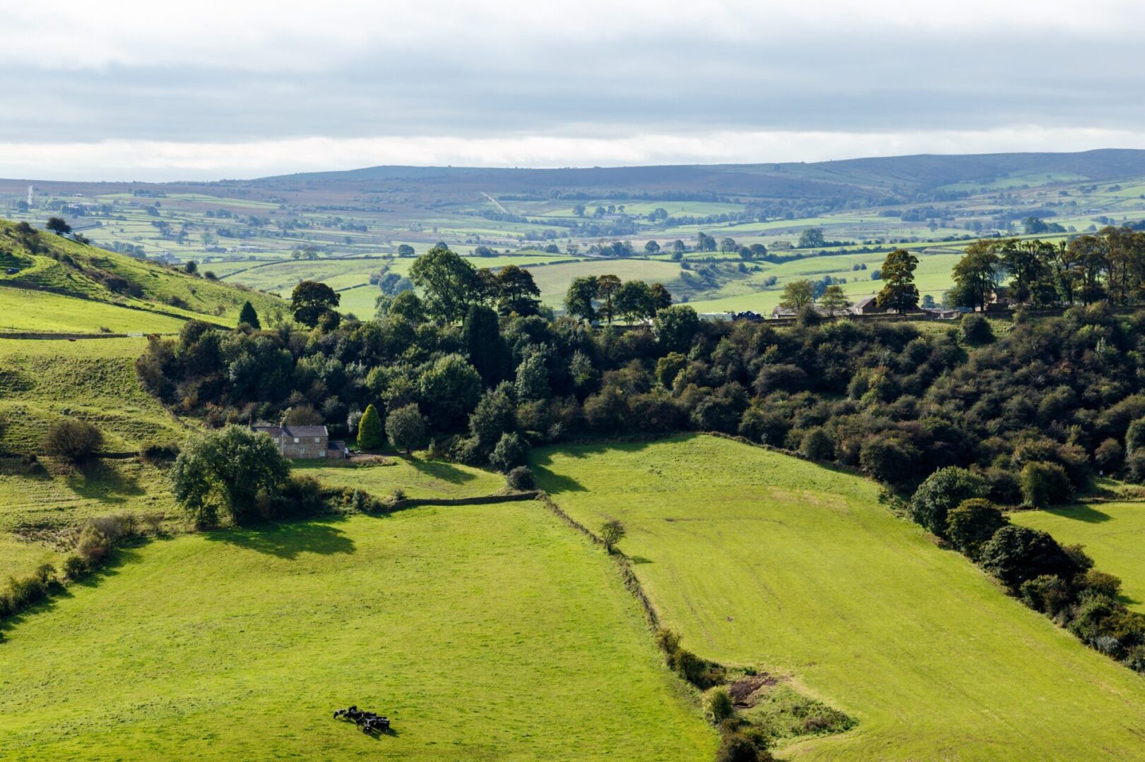 Repeal of the ‘Commercial Unit Test’ in Agricultural Holdings Act ...